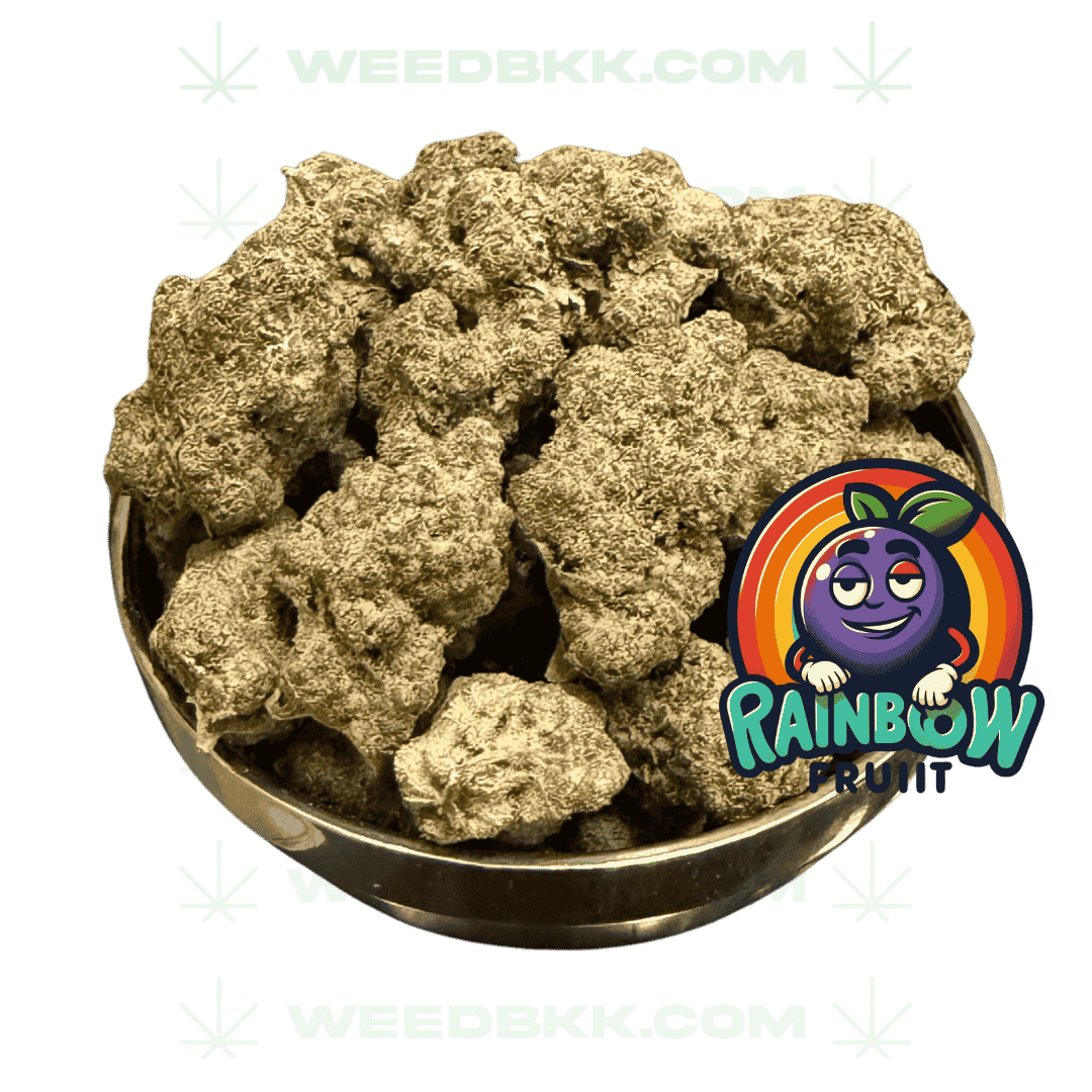 RAINBOW FRUIT WeedBKK RAINBOW FRUIT WeedBKK